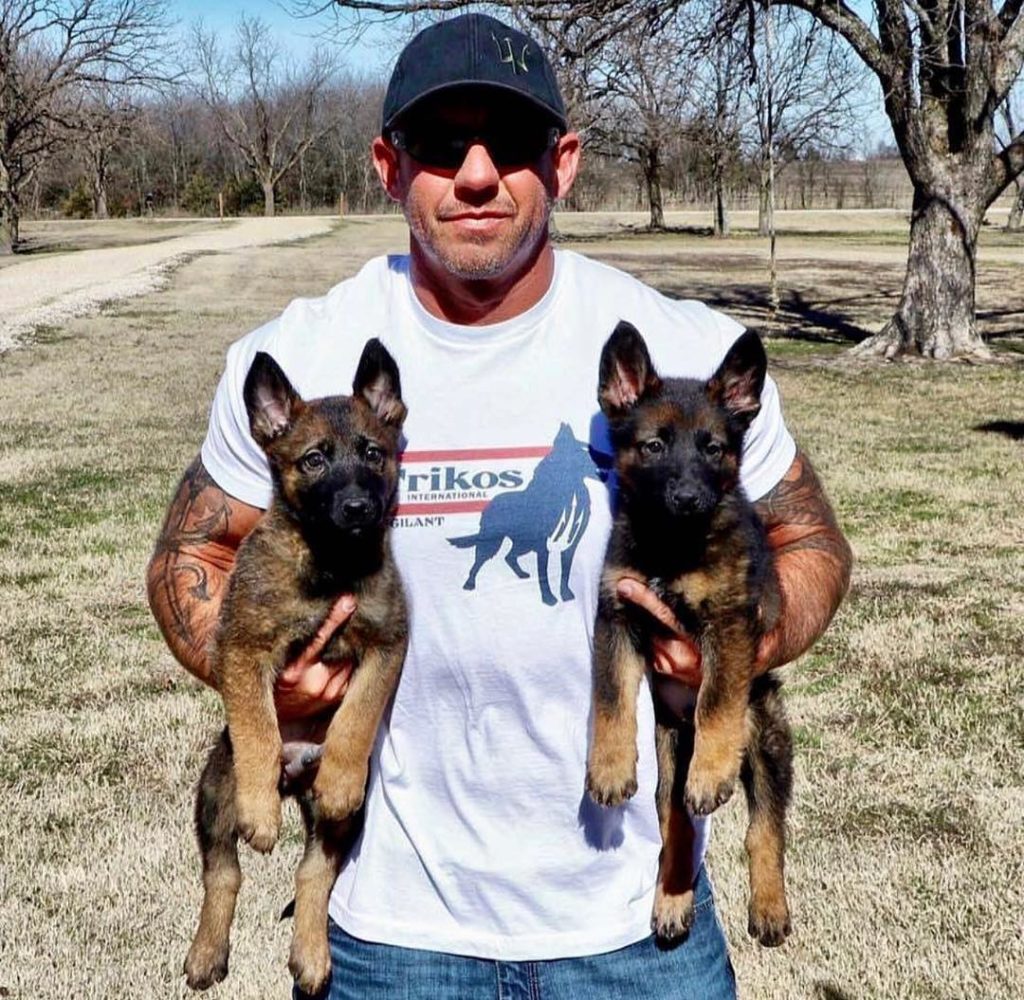 How Dogs Can Make You a Better Man | Mike Ritland - Order of Man